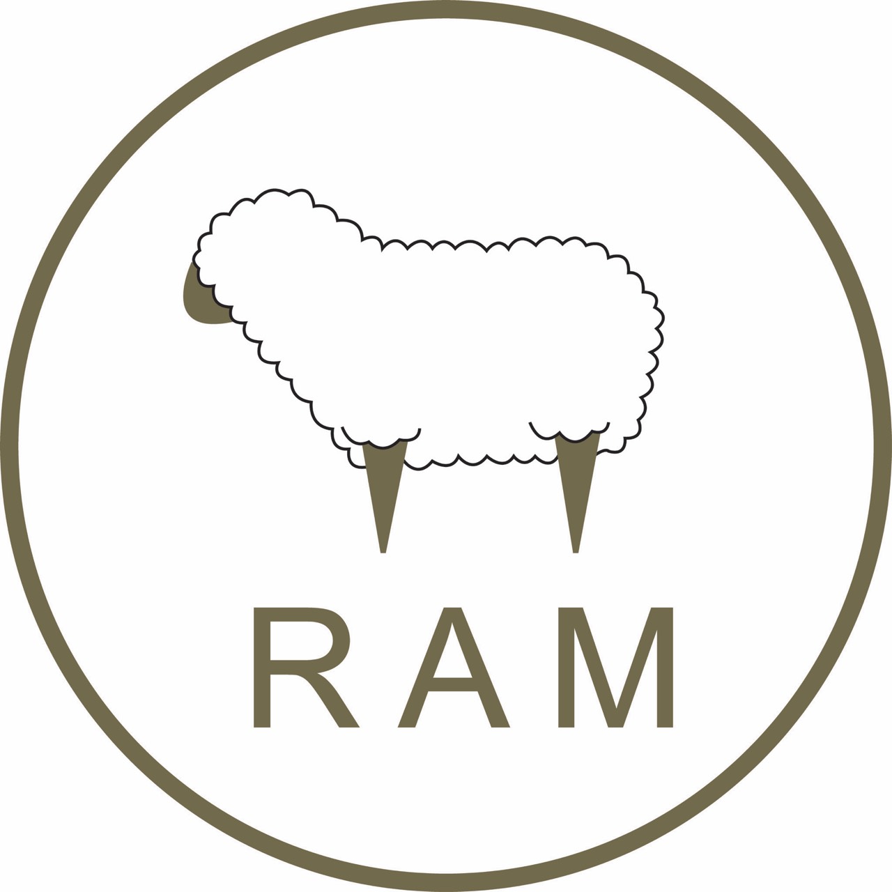 Ram International Co,Ltd.